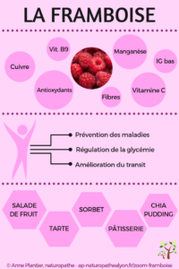 Zoom sur… la Framboise – Anne Plantier – Naturopathe